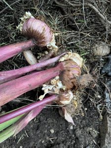 Art Meets Code - A Personal Blog